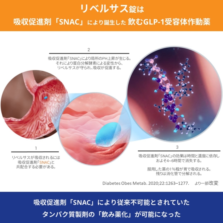 飲む注射薬！？経口GLP-1受容体作動薬「リベルサス」の凄さとは！？【注射嫌いな方に朗報！】 | 糖尿病・甲状腺 加木屋たけうち内科